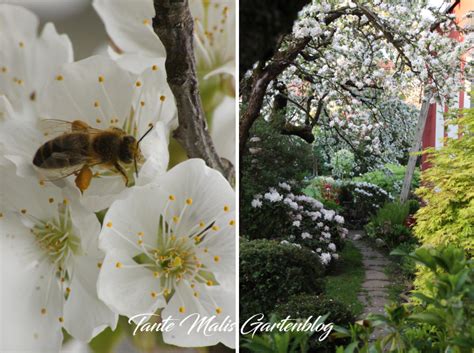 Ich Bin Dann Mal Im Garten