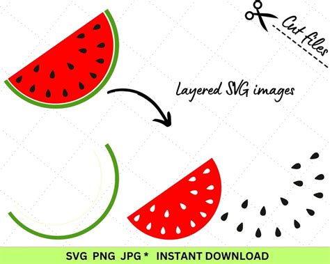 Fruit Svg Bundle Fruits Png Layered Cut Files Cricut And Silhouette