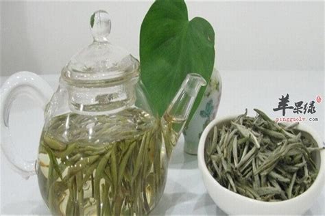 白毫银针茶的几大保健养生功效 苹果绿