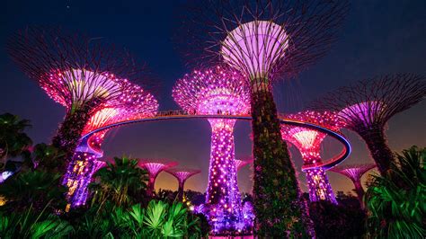 Gardens By The Bay Supertree Show Time Fasci Garden