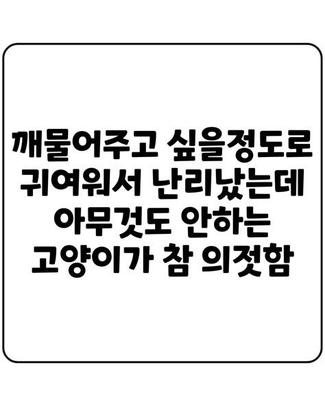 웃자그램 귀여워ㅋㅋㅋㅋㅋㅋㅋ 오늘도 웃으셨으면 좋아요💓팔로우👍🏻 게시글 문제 시 Dm부탁드립니다🙏🏻 더 많은 힐링은👉🏻