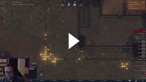 testing out the twitch toolkit mod fantastic results r rimworldstreams