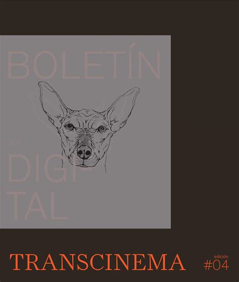 Boletin Iv Festival Transcinema By Efrain Bedoya Issuu