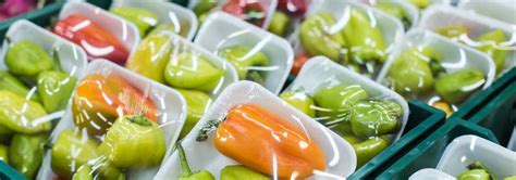 How Does Modified Atmosphere Packaging Protect Food Products NexAir