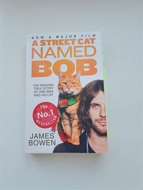 Book review “A Street Cat Named Bob” | by Anastasia Baraeva | Medium