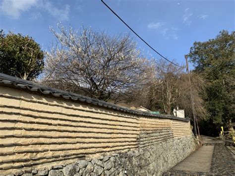 東大寺二月堂への裏参道って何処？大仏殿からのルートは？ 奈良散歩