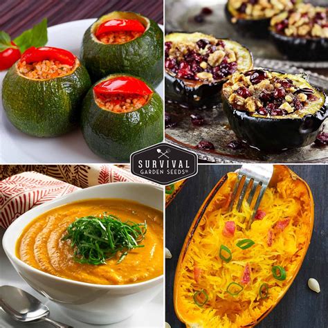 Winter And Summer Squash Seed Collection Survivalgardenseeds