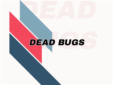 Cómo Hacer El Ejercicio 【 Dead Bugs