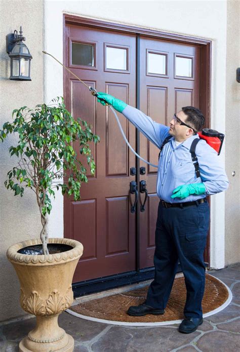How To Choose The Right Pest Control Company Factors To Consider