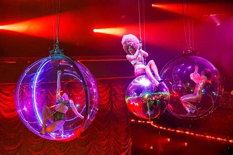 Eclectik Scéno Loiseau Paradis Paradis Latin