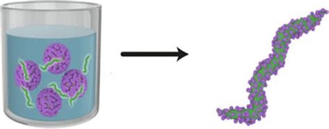 基于水包油 Pickering 乳液的二氧化钛 Tio2 纳米颗粒对昆虫病原线虫的个体包衣：一种生物农药的新配方 Journal Of Agricultural And Food
