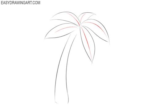How To Draw A Palm Tree