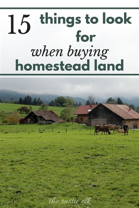 20 Tips To Find The Perfect Homesteading Land Homestead Land Farm