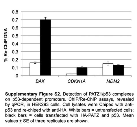 Patz1 Interacts With P53 And Regulates Expression Of P53 Target Genes