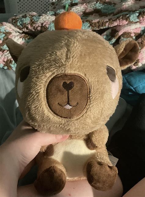 What Do I Name My Lil Capybara R Plushies
