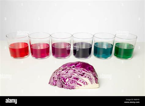 What Are Red Cabbage Juice Indicator At Joe Alvarez Blog