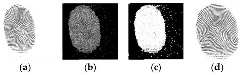 Lfldnet Lightweight Fingerprint Liveness Detection Based On Resnet And