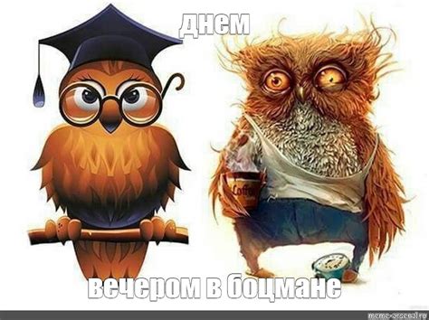 Создать мем "умная сова, сова с дергающимся глазом, совы" - Картинки ...