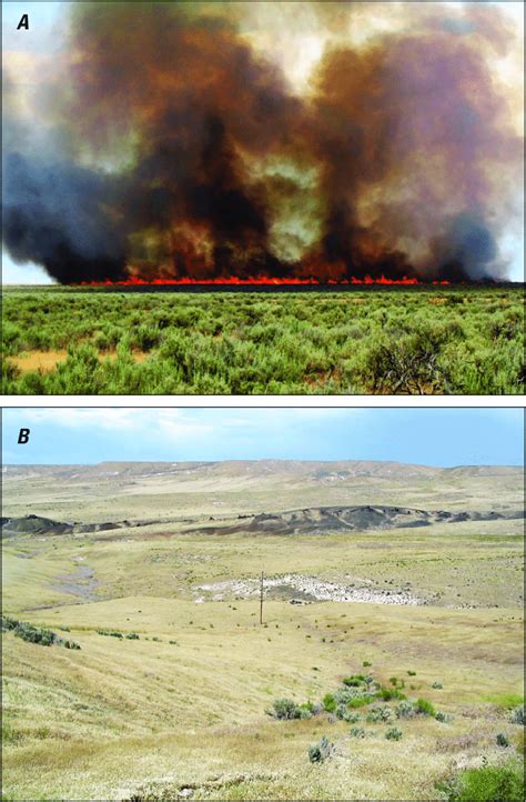 Examples From Southwestern Idaho Of Ecological Conversion Via The Download Scientific Diagram