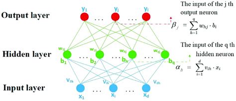 The Structure Of Bp Neural Network Download Scientific Diagram