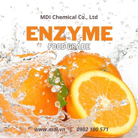 Mdi Chemicals On Linkedin Cung CẤp CÁc LoẠi Enzyme SẢn XuẤt ThỰc PhẨm