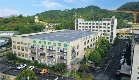 中林鑫宙竹缠绕发展有限公司官网