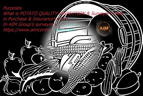 Quality Potato Inspection And Certification