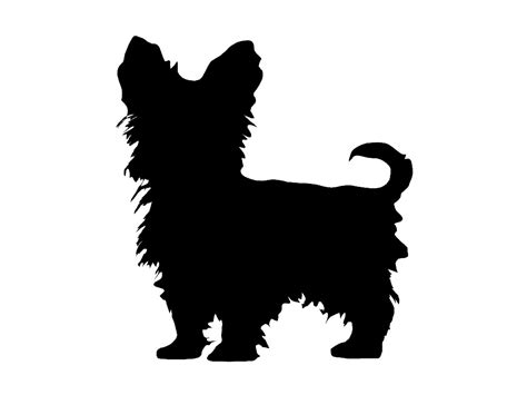 Free Yorkshire Terrier Cliparts Download Free Yorkshire Terrier