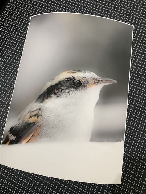 Productos Foto Analoga Added A Productos Foto Analoga