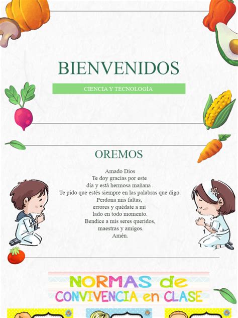 1p SesiÓn N°9 Alimentos Constructores Pdf