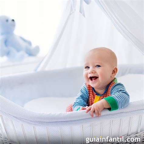 ¿cuna O Moisés Para El Recién Nacido