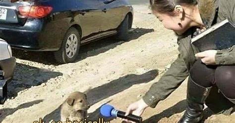 Ok So Basically Im Very Smol Album On Imgur