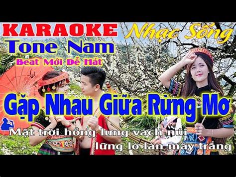 Gặp Nhau Giữa Rừng Mơ Karaoke Tone Nam Beat Mới Nhất Dễ Hát Cực Chuẩn