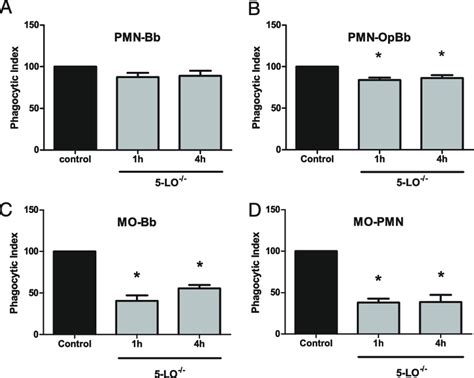 Macrophages From 5 Lo 22 Mice Have Reduced Phagocytic Capacity But