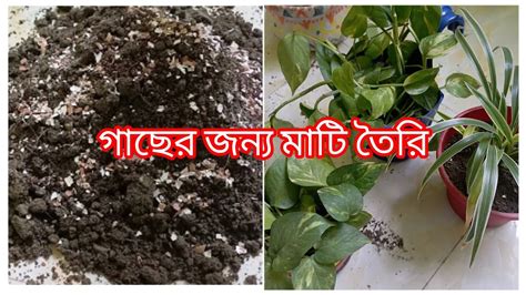 টবে সব ধরনের গাছ লাগানোর জন্য সহজ পদ্ধতিতে মাটি তৈরির উপায়। Youtube