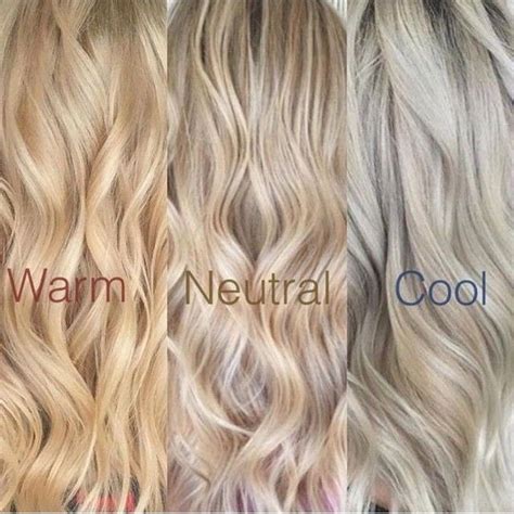 แชมพูฟรีเซีย Freecia Professional Thailand รวมไอเดีย Light Blonde