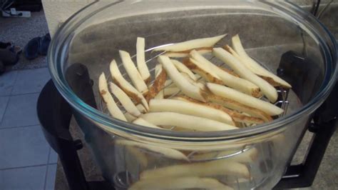 How To Make French Fries In Convection Microwave Oven At Alana John Blog