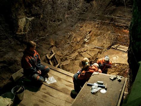 Paläogenetik Der Analytiker Des Ahnen Sex