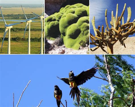 Rea Ambiental Esinel Ingenieros
