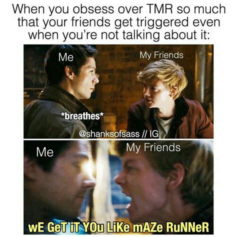 The Maze Runner Memes 16 We Get It You Like Maze Runner 😧 Maze Runner Maze Runner Funny