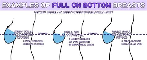 Bra Root Meaning At Daryl Hudson Blog