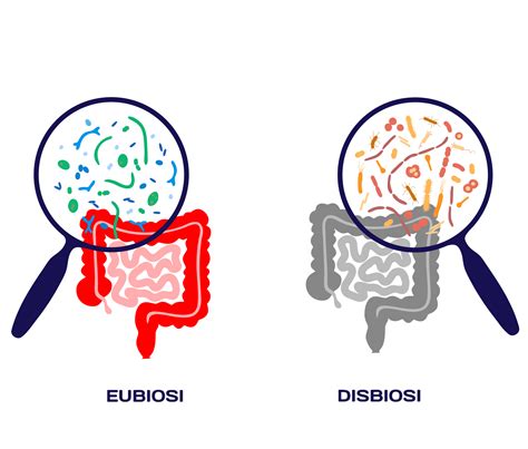 Microbiota I Bioma