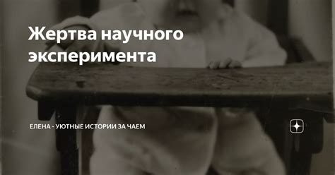 Жертва научного эксперимента Елена Уютные истории за чаем Дзен