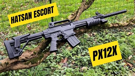 Hatsan Escort Px12x Youtube