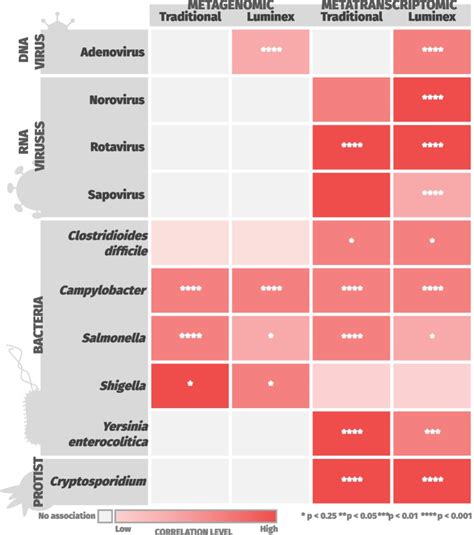 Enhancing Infectious Intestinal Disease Diagnosis Through Metagenomic