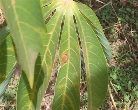 Test And Training Data