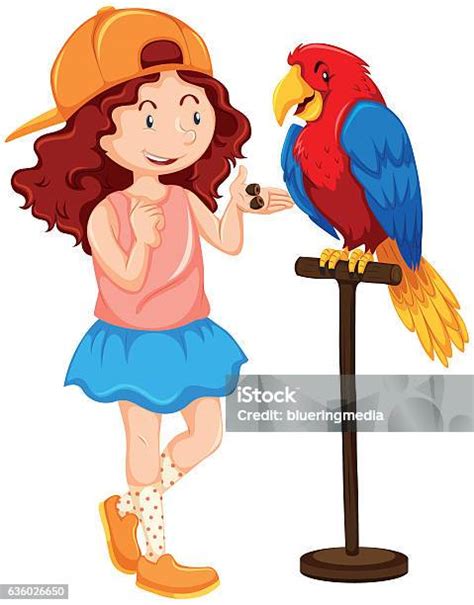 Gadis Memberi Makan Burung Beo Peliharaan Ilustrasi Stok Unduh Gambar