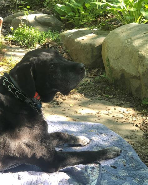 Joe Lamonica Joe Lamonica • Instagram Photos And Videos