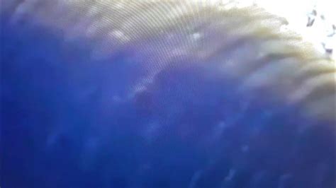 Loch Ness Monster Drone Footage Is 100 Percent Fake And Debunked Quick