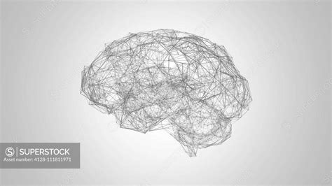 Brain Network Artificial Intelligence Illustration Superstock